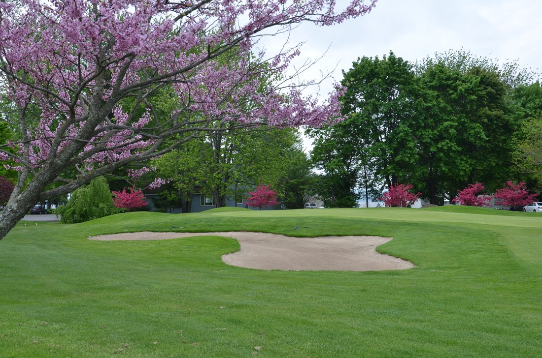 Course Details - Owasco Country Club Inc